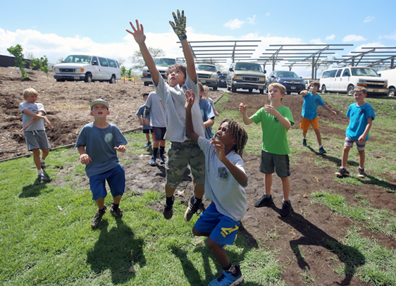 The catch | News, Sports, Jobs - Maui News